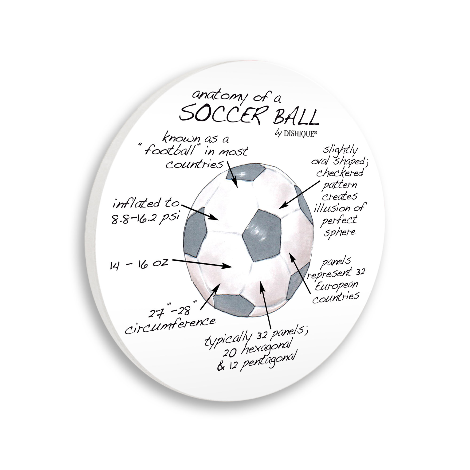 Stupell Industries Anatomy Of Soccer Ball Informative Learning Sports ...