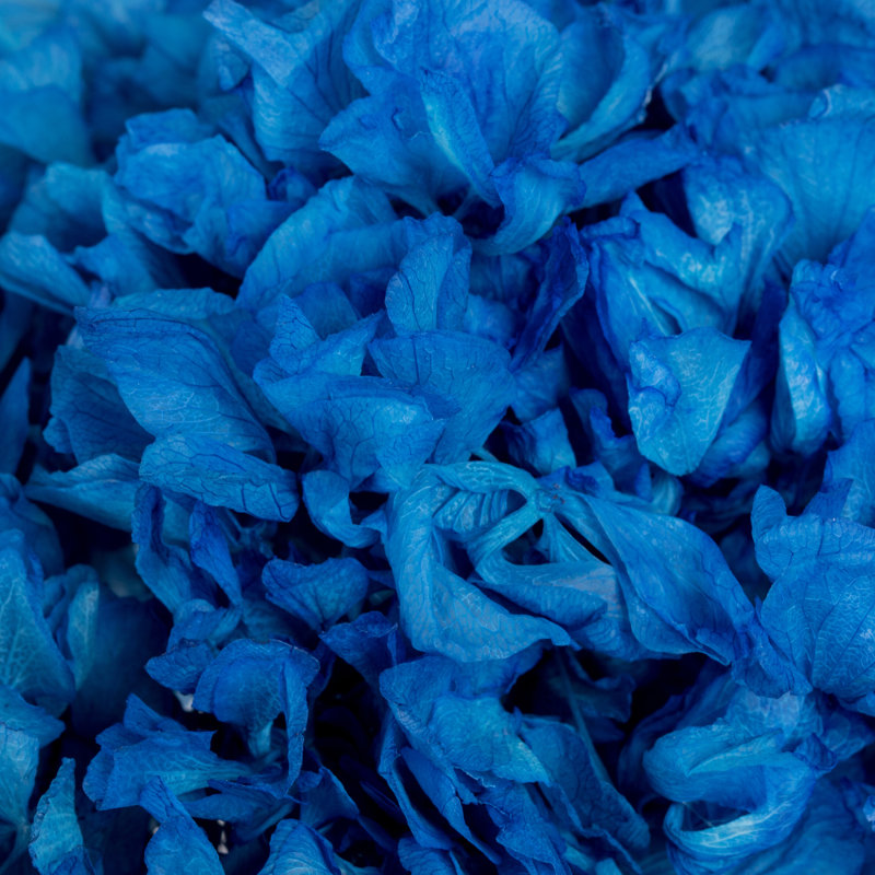 Primrue Natural Botanicals 15" Hydrangea with Multiple Branch Segments ...