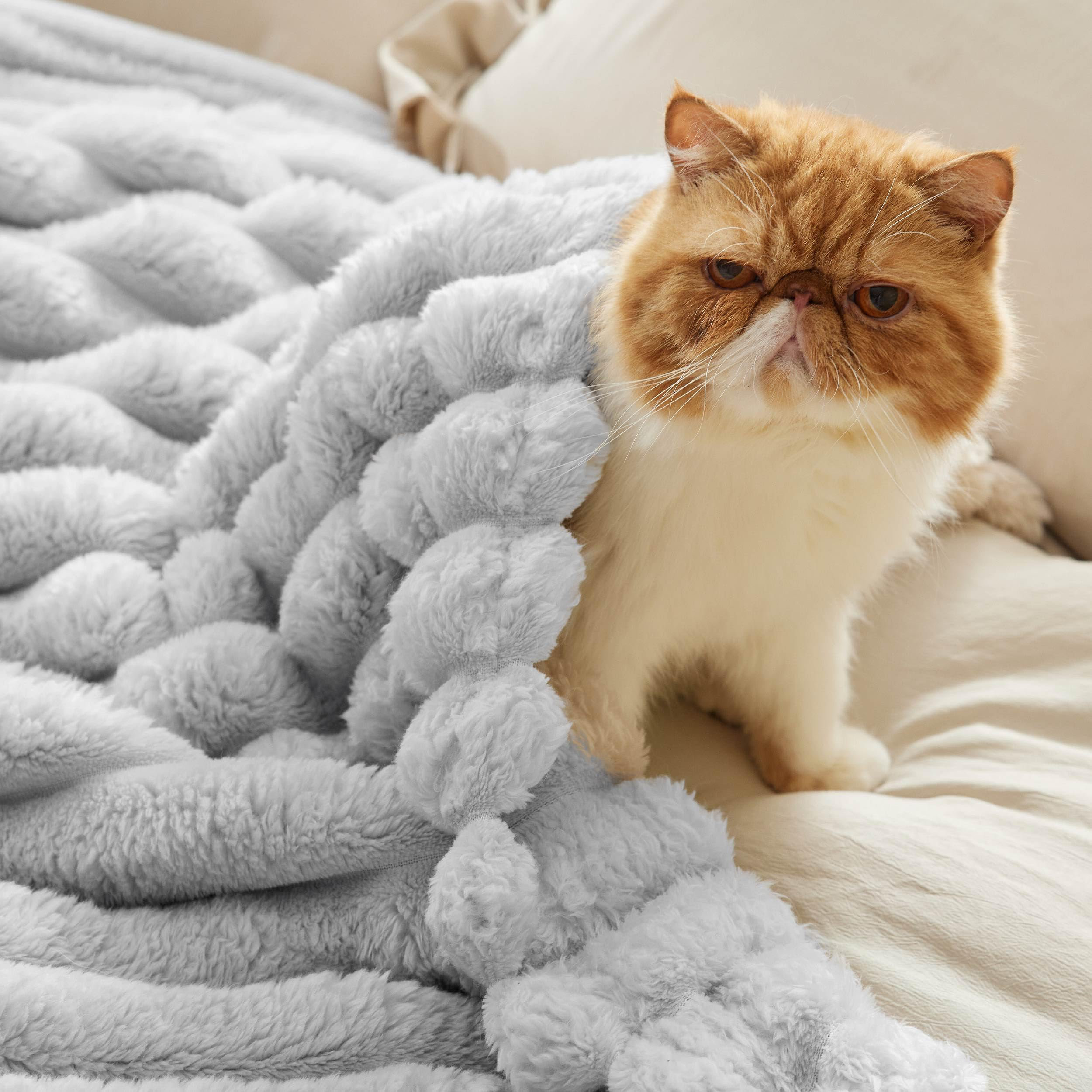 Bedsure 349gsm Blanket For Couch - Super Soft Cozy Blankets, Cute Small ...