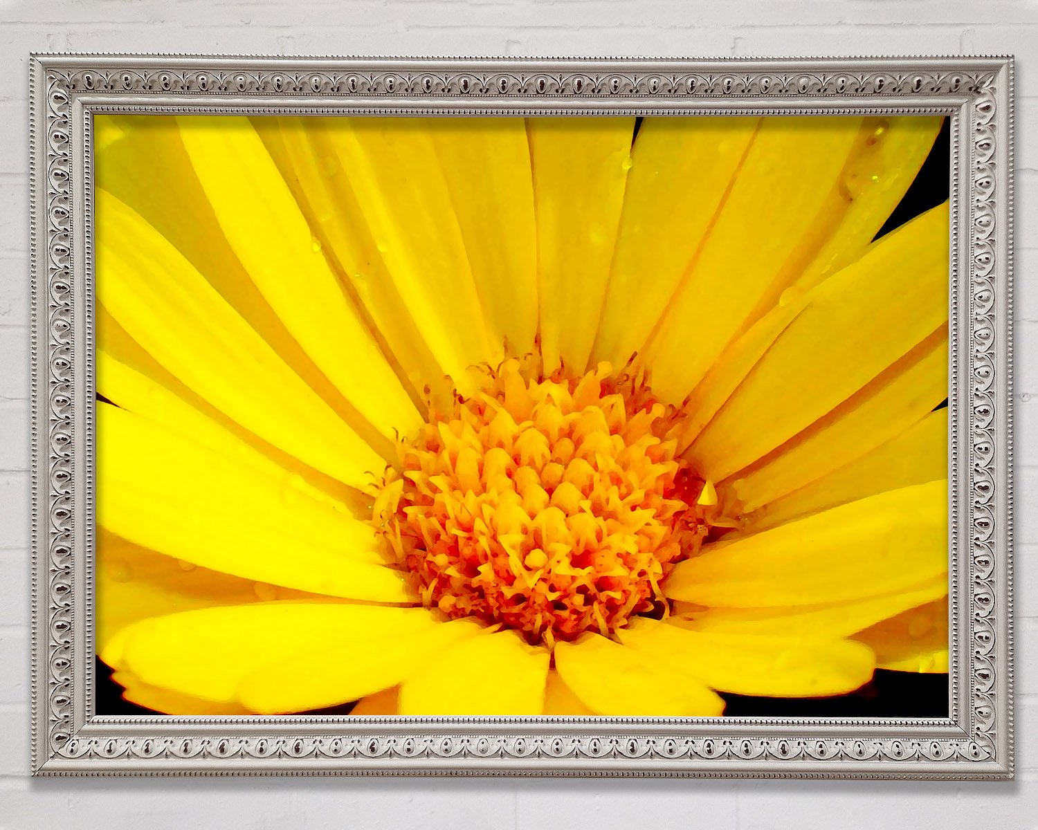 Ebern Designs Golden Yellow Daisy - Print | Wayfair.co.uk