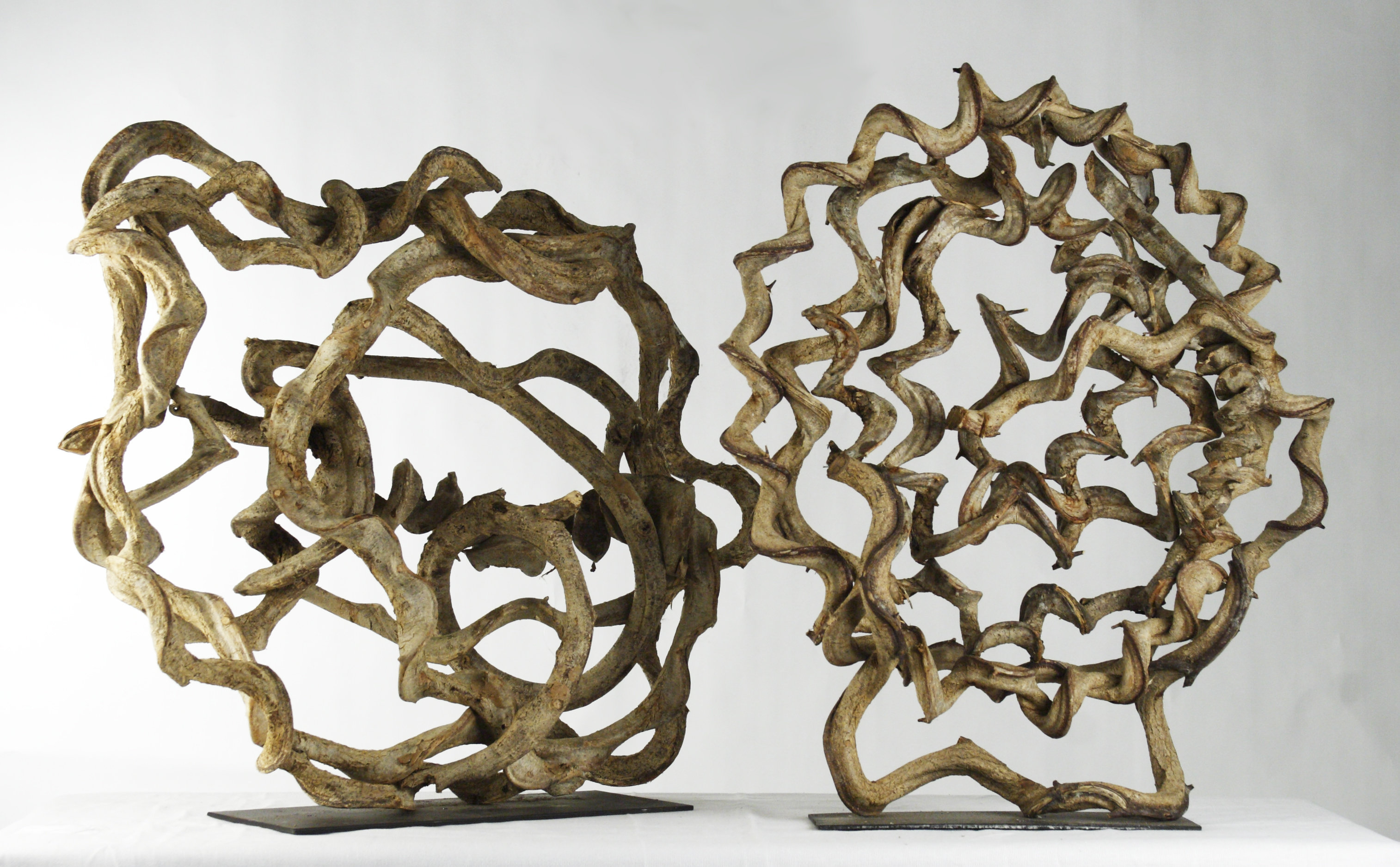 Zentique Round Vine Sculpture | Perigold