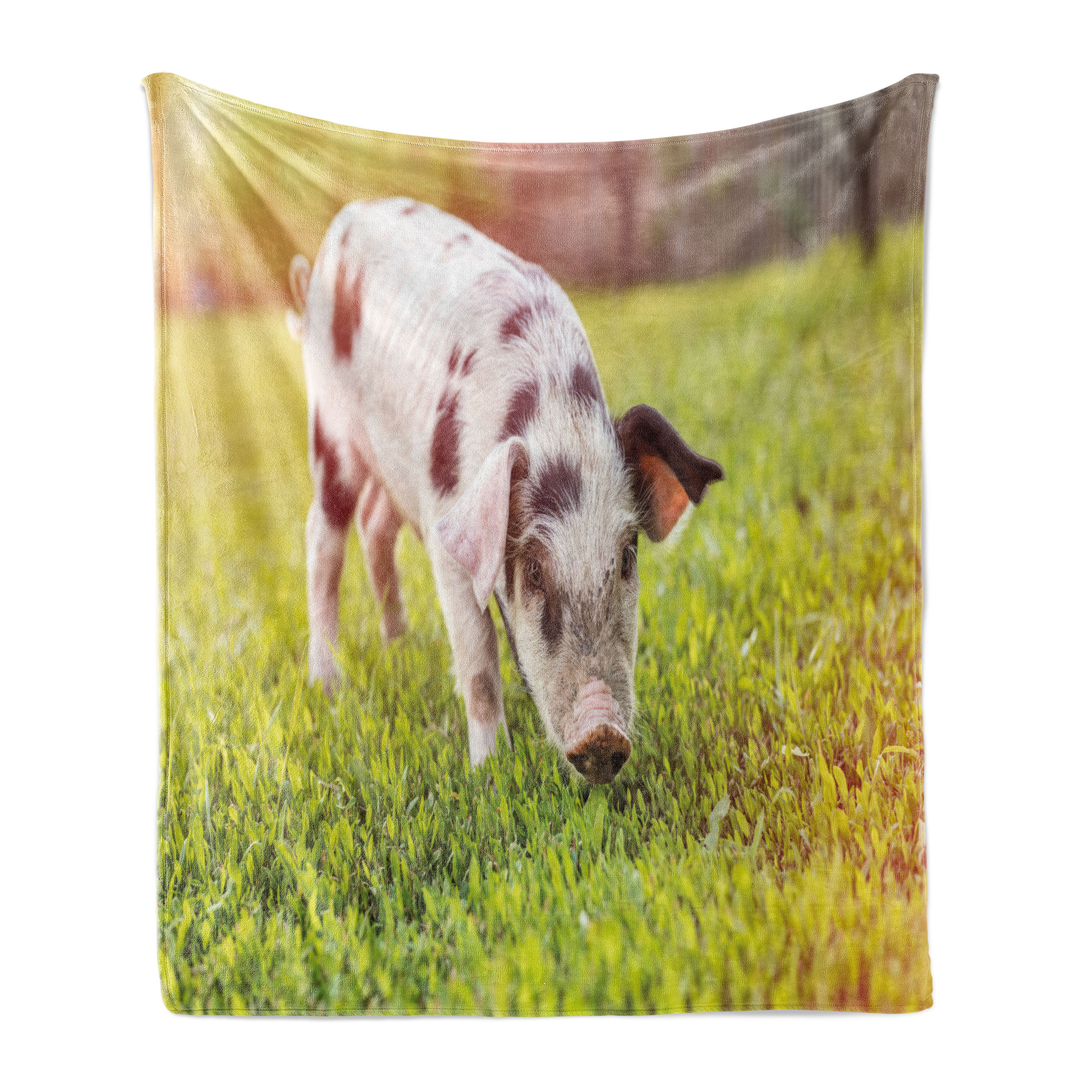 Ambesonne Farm Animal Fleece Throw Blanket Pig with Spots Multicolor ...