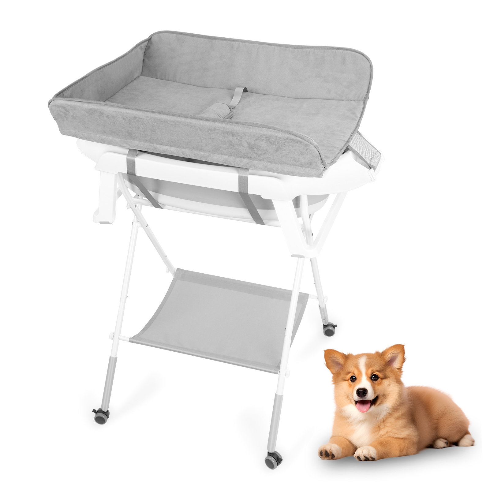 Tucker Murphy Pet™ Happ 2 in 1 Dog Bathtub Dog Washing Station ...