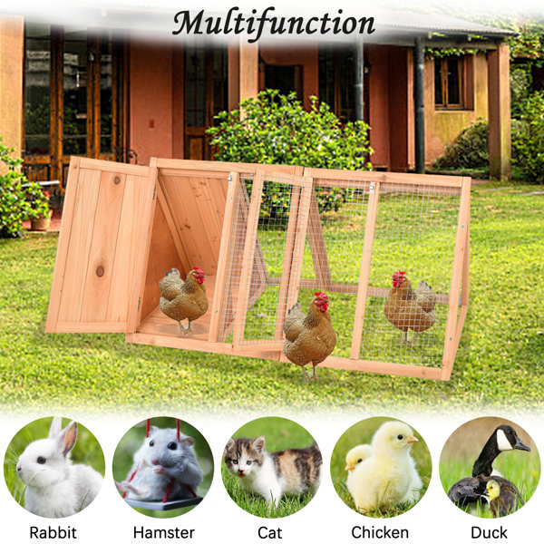 Archie & Oscar™ Moyers Rabbit Hutch Wooden Rabbit Cage & Reviews ...