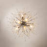 Canora Grey Dandelion 9-Light Sputnik Crystal Chandelier Starburst ...