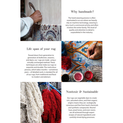 Beachcrest Home Rhian Handwoven Area Rug in Ivory & Reviews | Wayfair