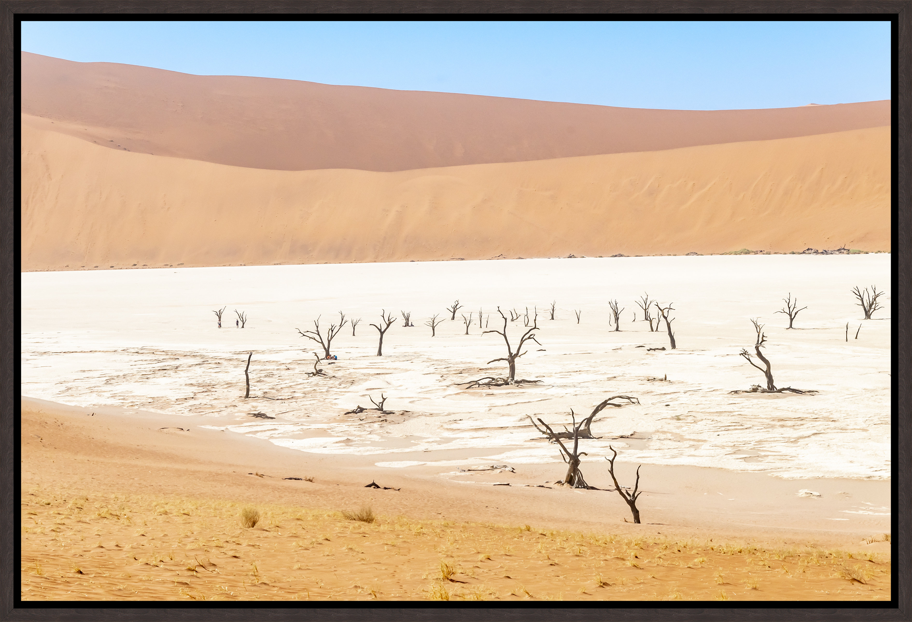 Chelsea Art Studio Namibian Skeleton Trees I by Richard Silver ...