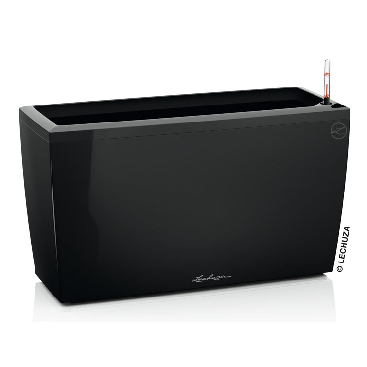 Lechuza Cararo Pot Planter & Reviews | Wayfair.co.uk
