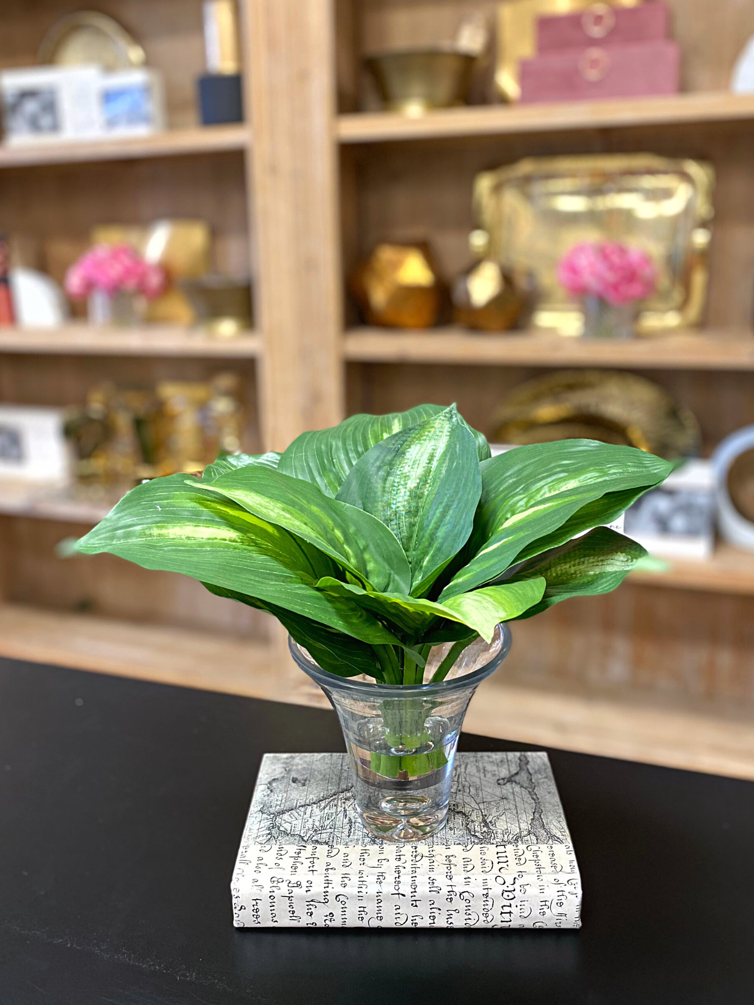 Freeport Park® Janousek Hosta Arrangement In A Clear Glass Vase ...