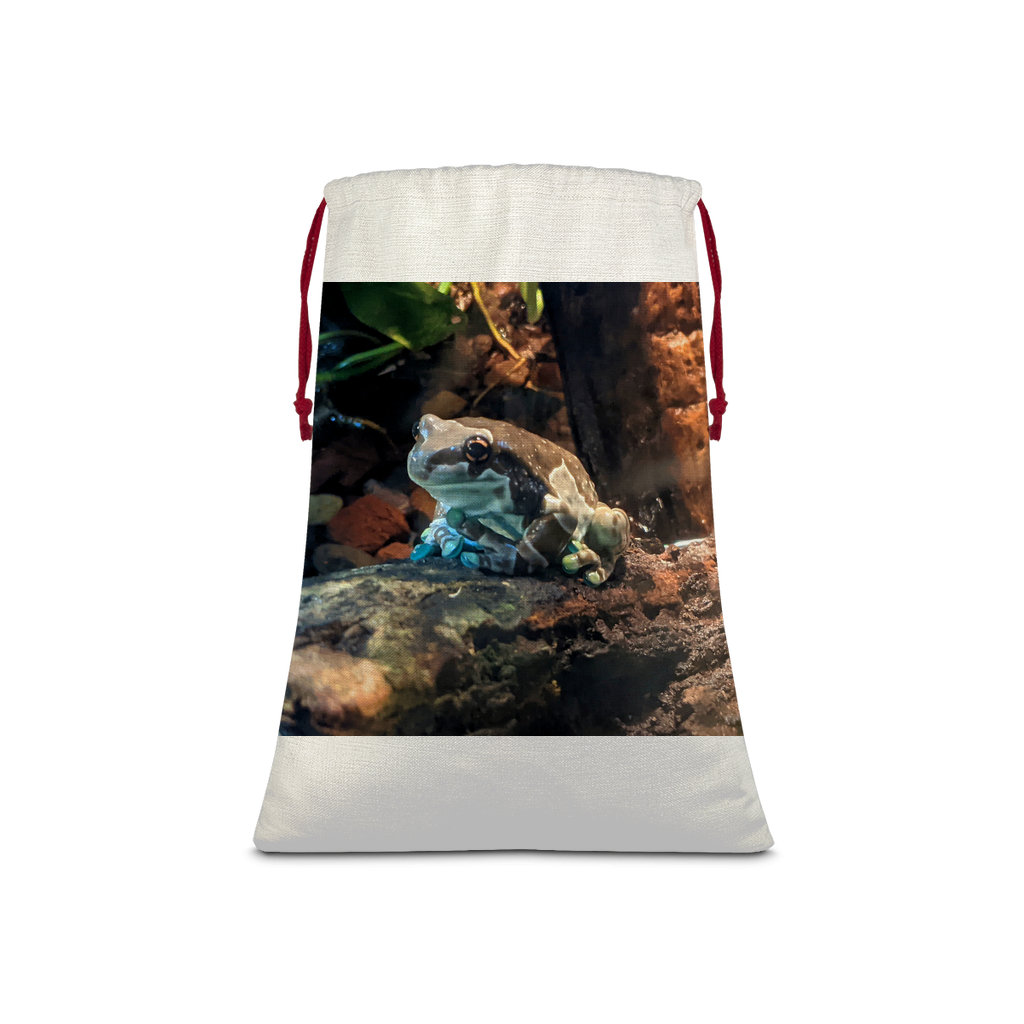 East Urban Home Toad Sublimation Linen Drawstring Sack - Wayfair Canada