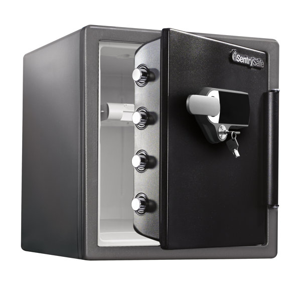 Sentry Safe Alarm Security Safe with Dual-Lock & Reviews | Wayfair