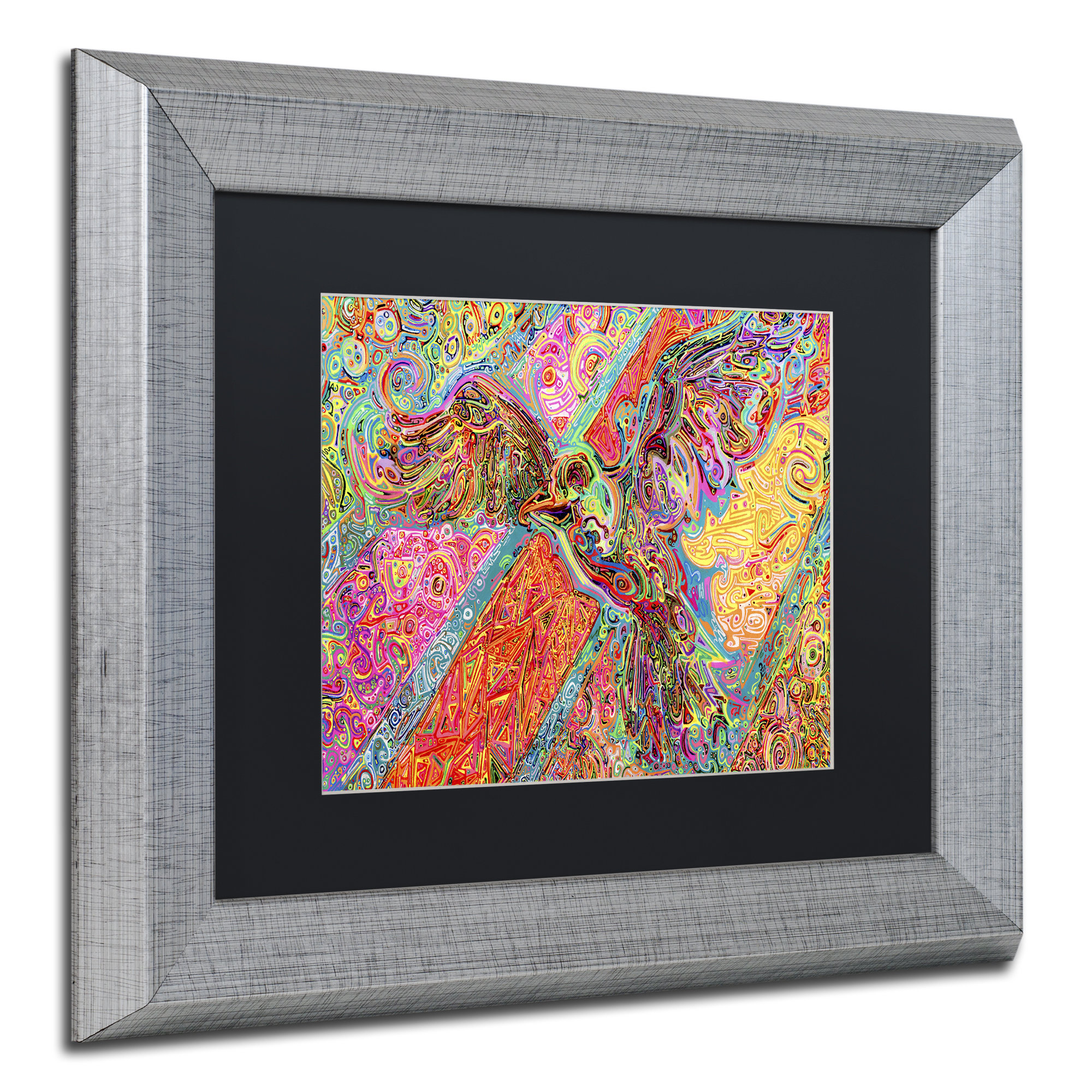 Trademark Fine Art 'Soar' Framed Graphic Art Print | Wayfair