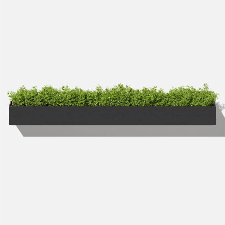 Geo Series Plastic Trough Hanging Planter & Reviews | AllModern