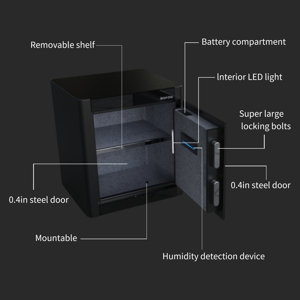 BOFON Security Box, Fingerprint Password Safe Box with Key,Built-in ...
