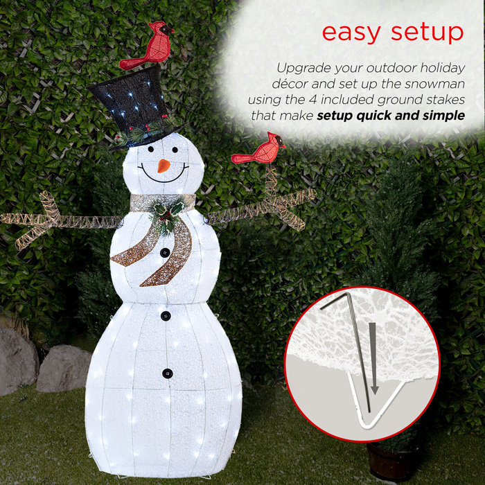 The Holiday Aisle® Snowman Lighted Display & Reviews | Wayfair