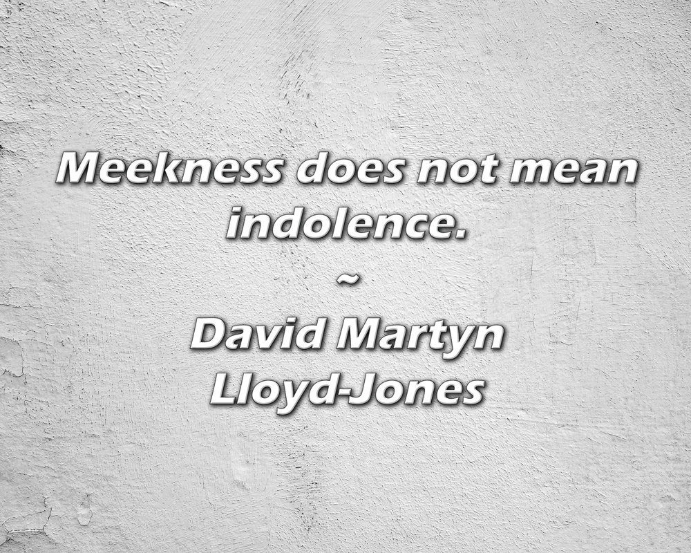 Trinx David Martyn Lloyd-Jones Quote: Meekness does not mean indolence ...
