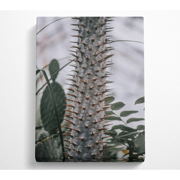 Natur Pur Grey Spiked Sentinel - No Frame Rectangle Print on Canvas ...