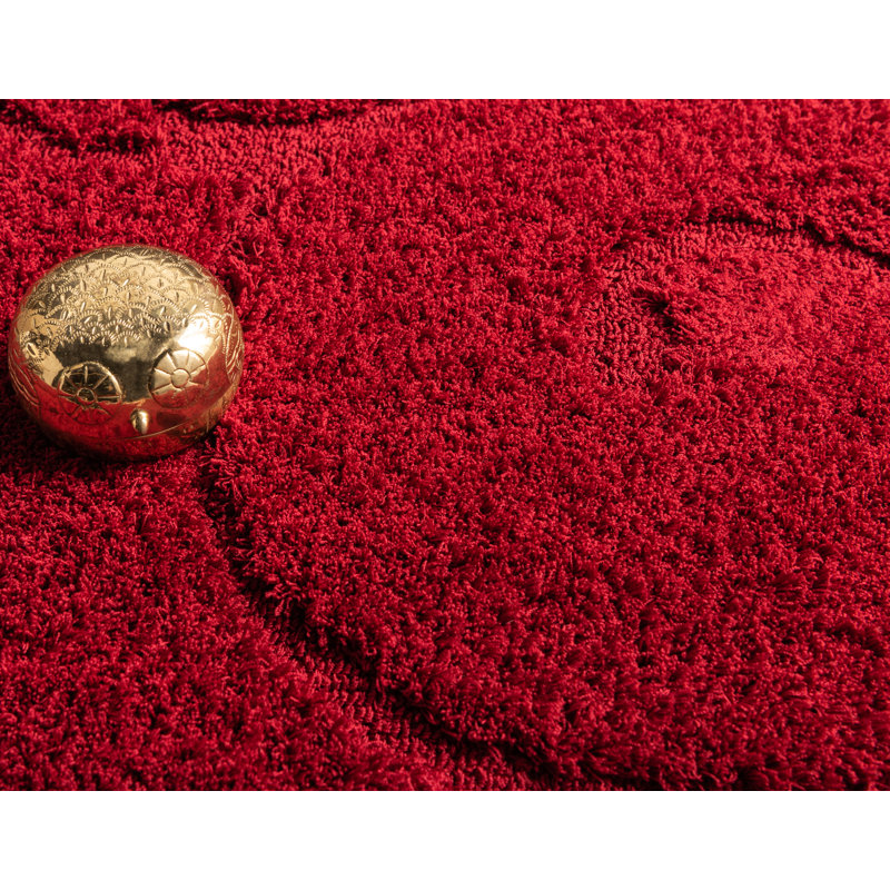 Charlton Home® Baynes Performance Blood Red Rug & Reviews | Wayfair