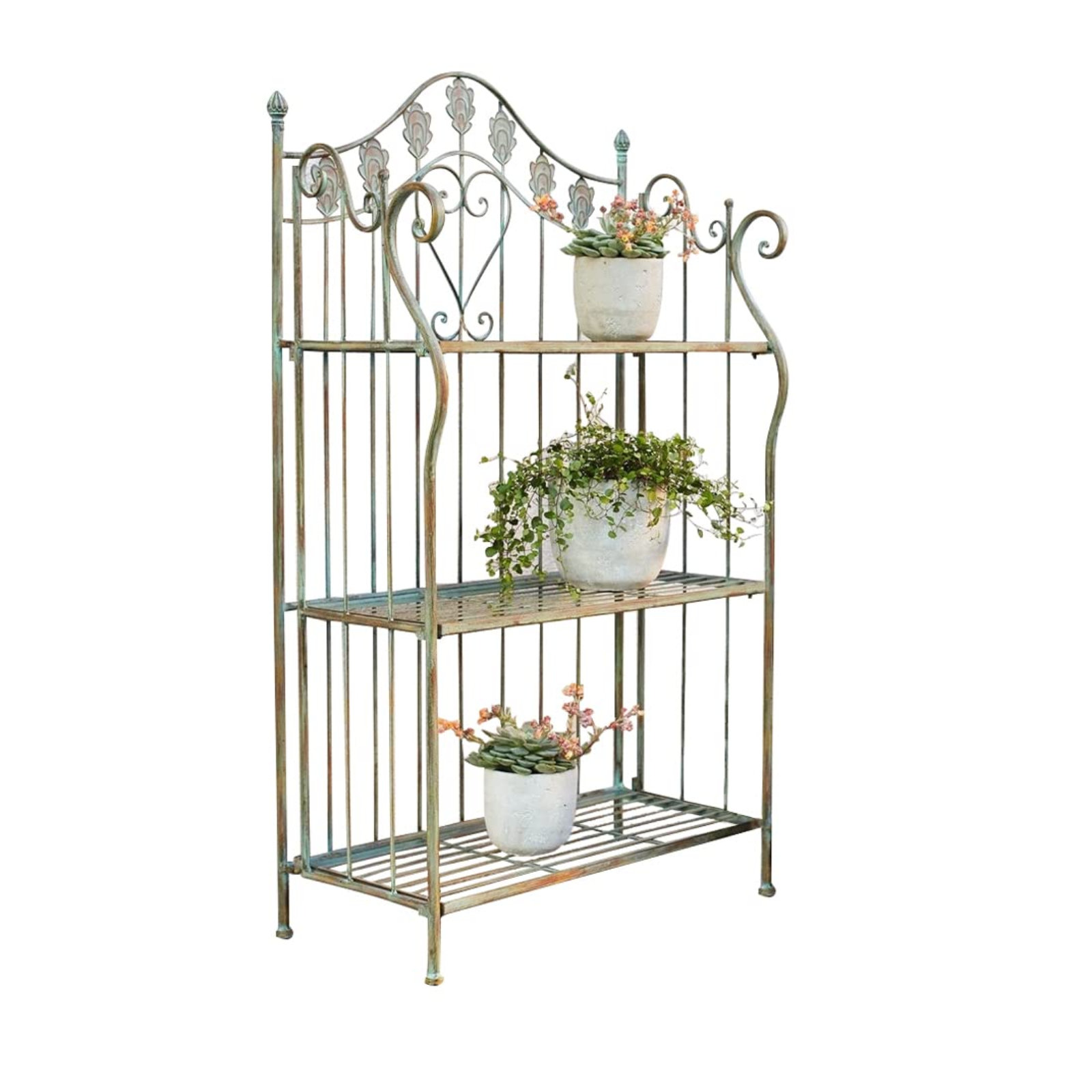 One Allium Way Foldable Three-Layer Green Plant Rack, Indoor And ...