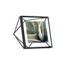Umbra Prisma Picture Frame & Reviews | Wayfair
