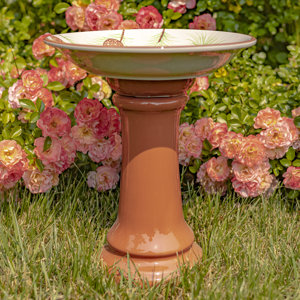 Ceramic Bird Baths You'll Love | Wayfair