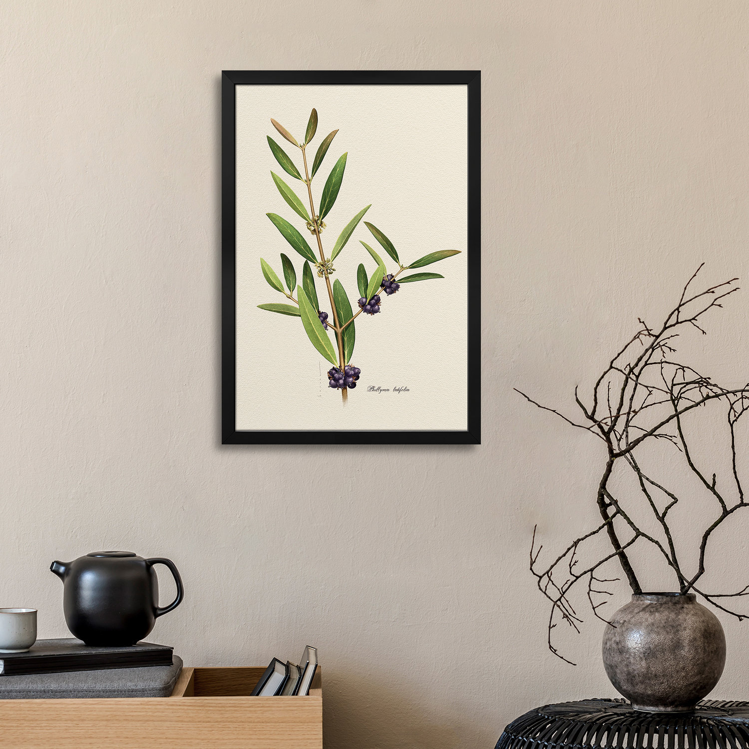 Latitude Run® Botany Phillyrea Latifolia - Wall Art Print - Gallery ...