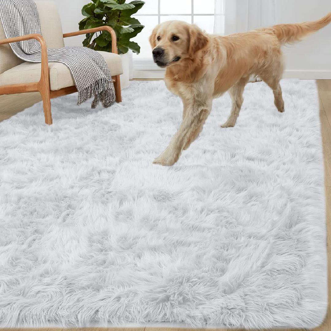 Mercer41 Dollicia Area Rug in Pure White | Wayfair