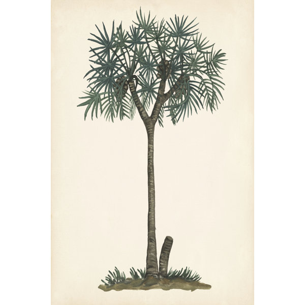 Bay Isle Home Palm Tree Study III - Wrapped Canvas Art Prints | Wayfair ...