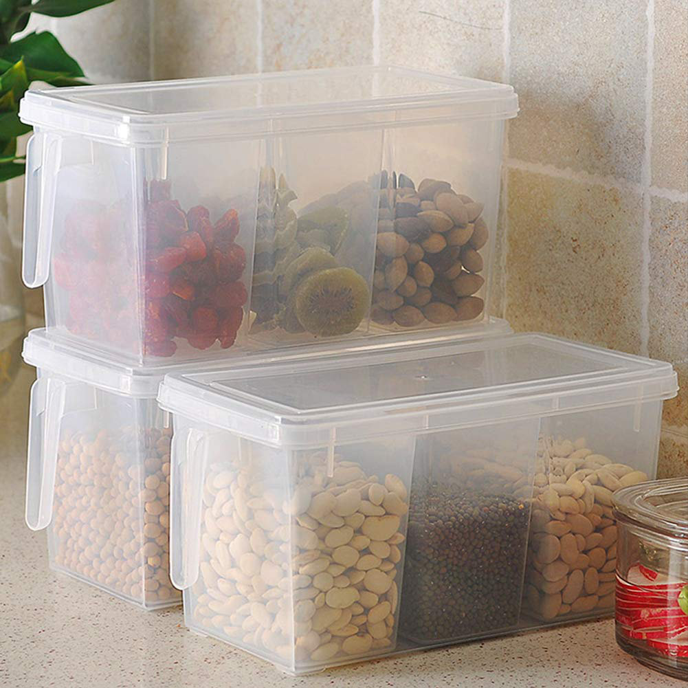 Orren Ellis 2 Pack Plastic Divided Veggie Storage Containers With Lids ...