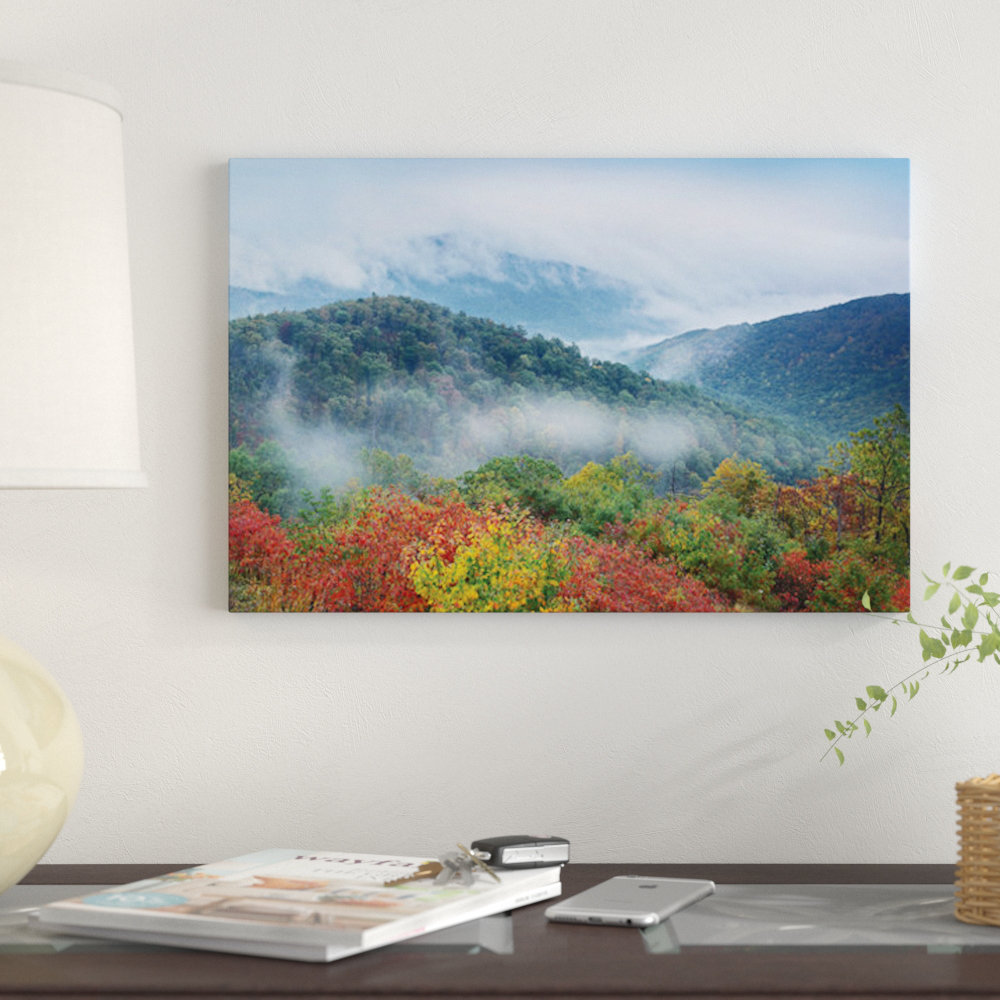 East Urban Home Broadleaf Forest In Fall Colours As Seen From Buck ...