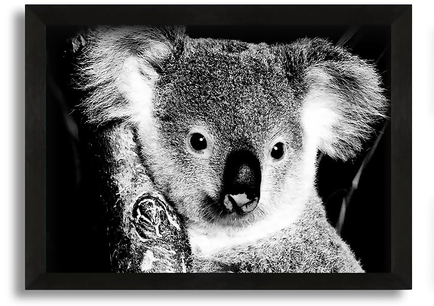 Alpen Home Koala Bear - Picture Frame Photograph on Canvas | Wayfair.co.uk