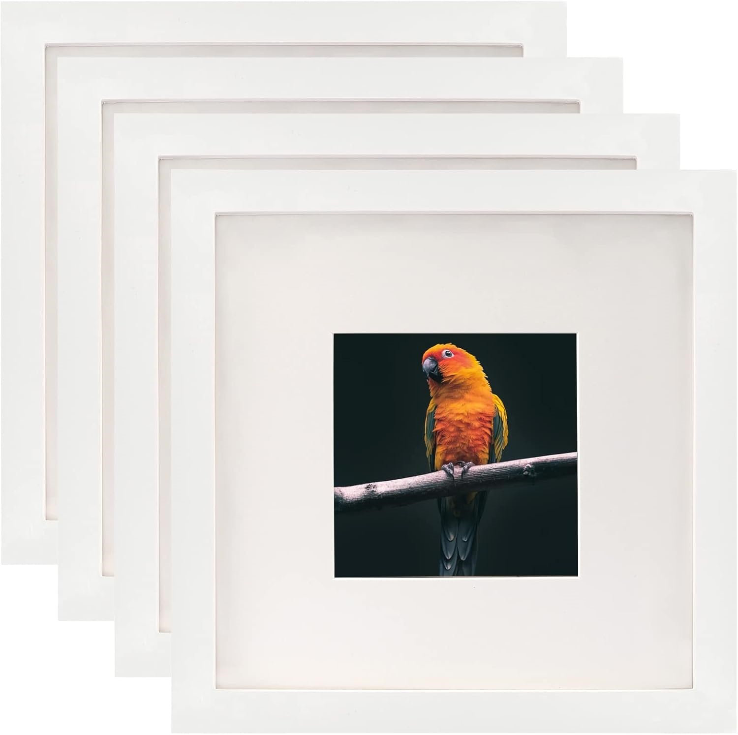 Latitude Run® White 10X10 Picture Frames Set Of 4 Display Pictures 5X5 ...