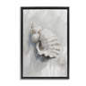 Latitude Run® Neutral Curved Seashell Floating Frame, design by Ramona ...
