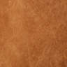 Poly & Bark Genuine Leather Lounge Chair & Reviews | Wayfair