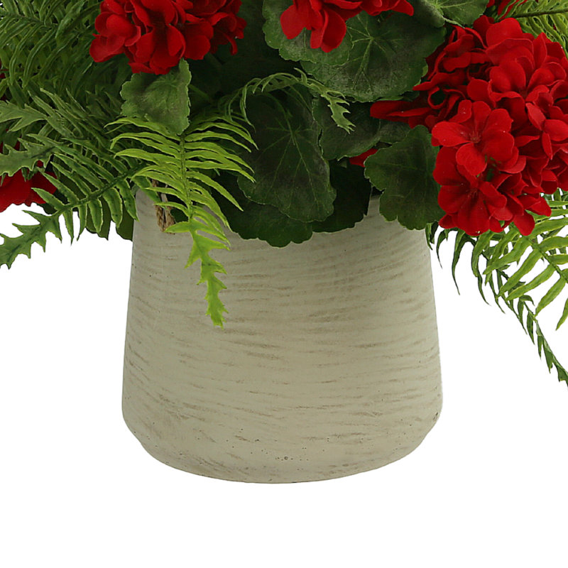 Primrue Geranium Arrangements in Pot | Wayfair