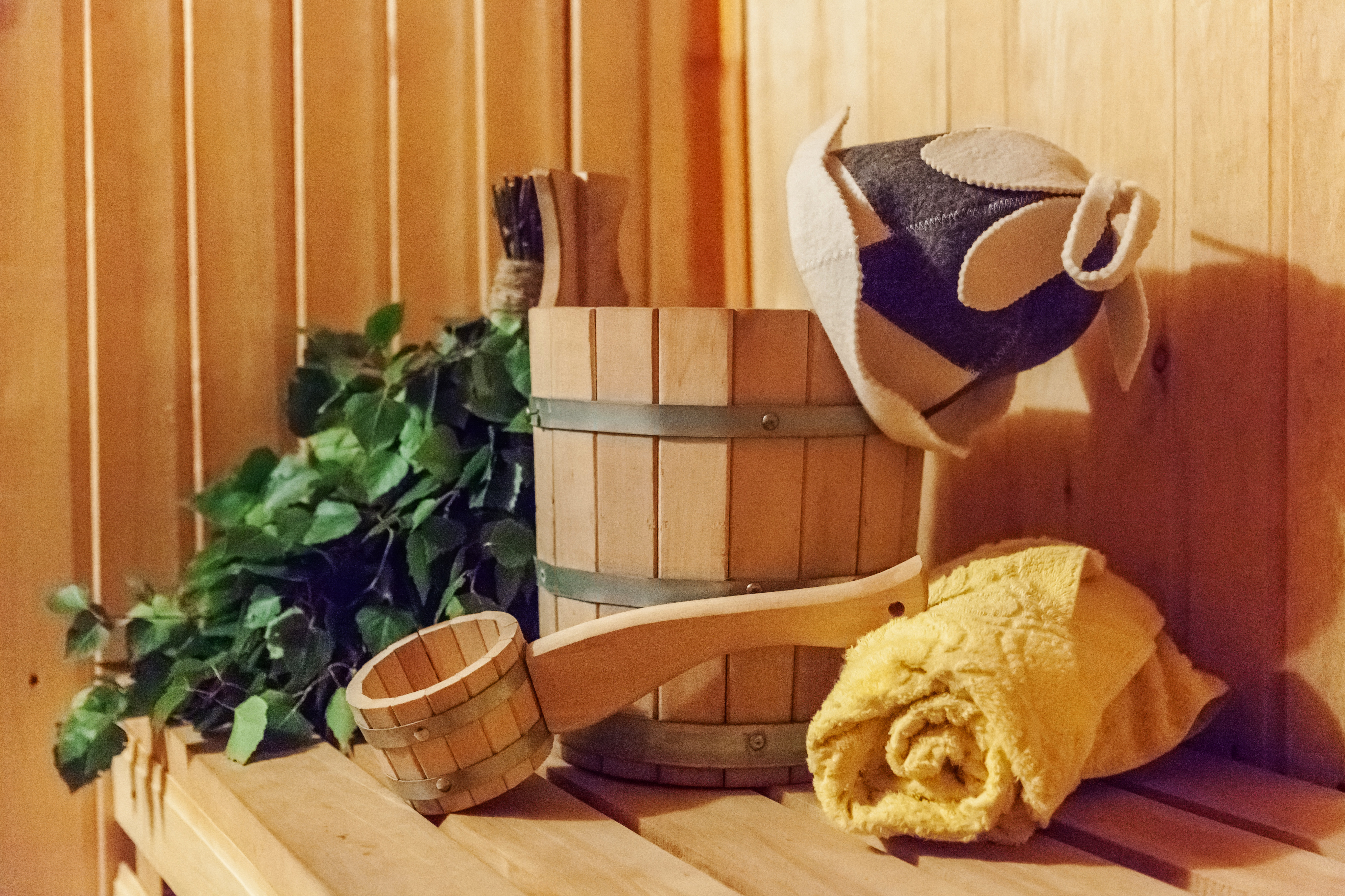 Hokku Designs Filoteo " Finnish Sauna Room " by Iuliia Zavalishina ...