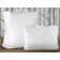 Eastern Accents Down Comforter Storage Bag & Reviews | Wayfair