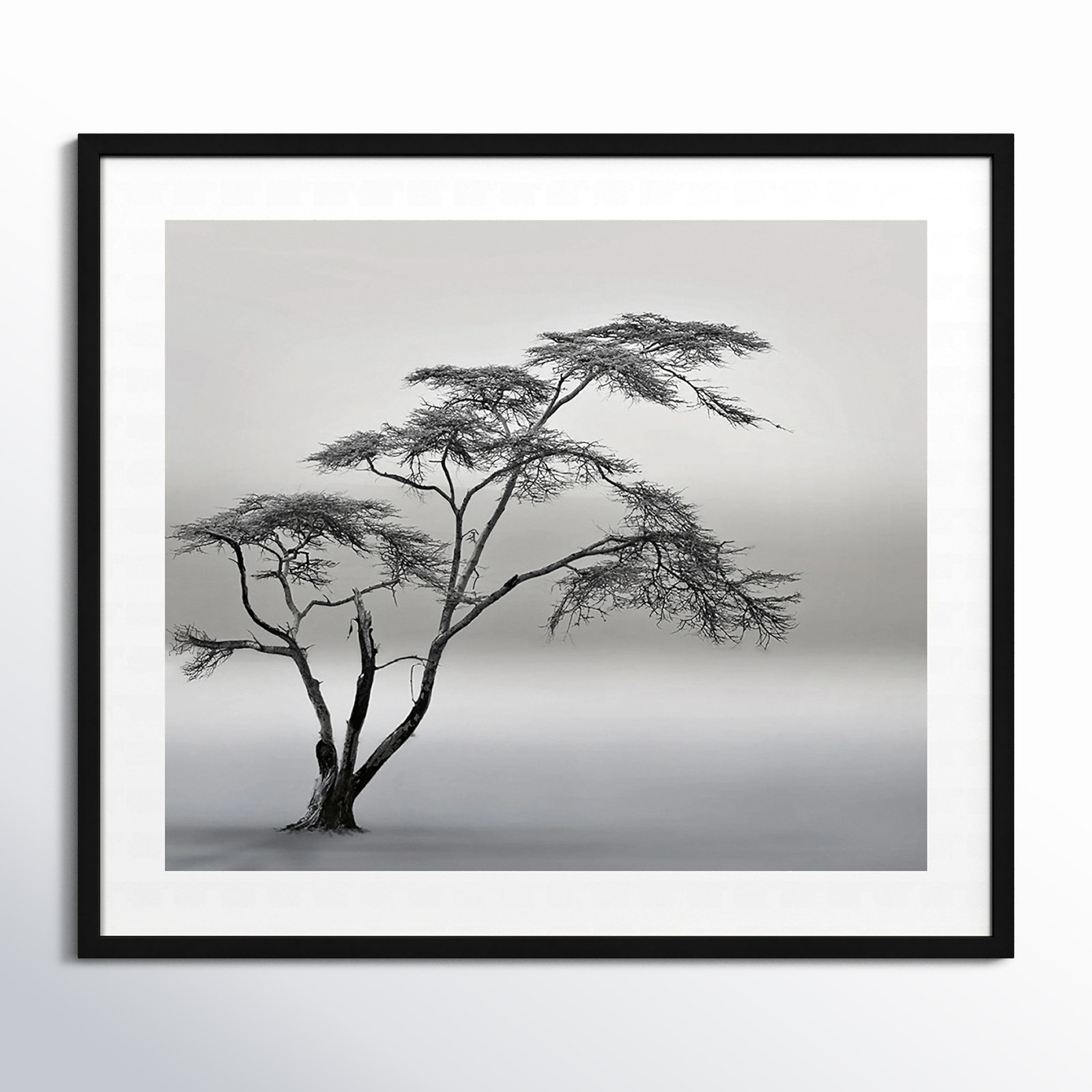 Birch Lane™ Tree Silhouette by Piet Flour - Picture Frame Photograph ...
