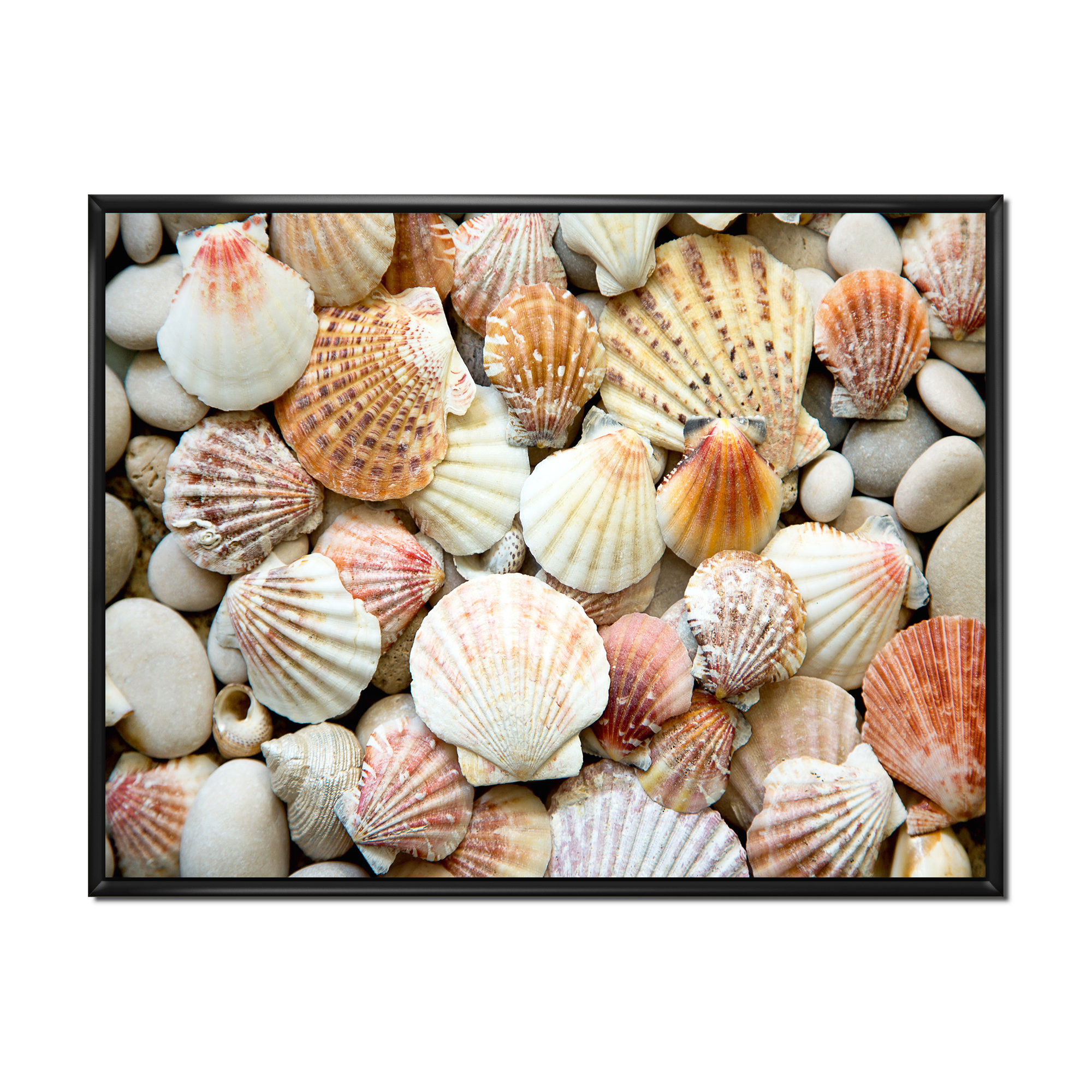 East Urban Home Red Orange And White Shells And Stones - Nautical ...