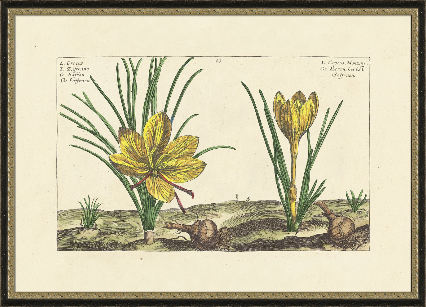 Wendover Art Group Corcus Montan by No Artist - Picture Frame Painting ...