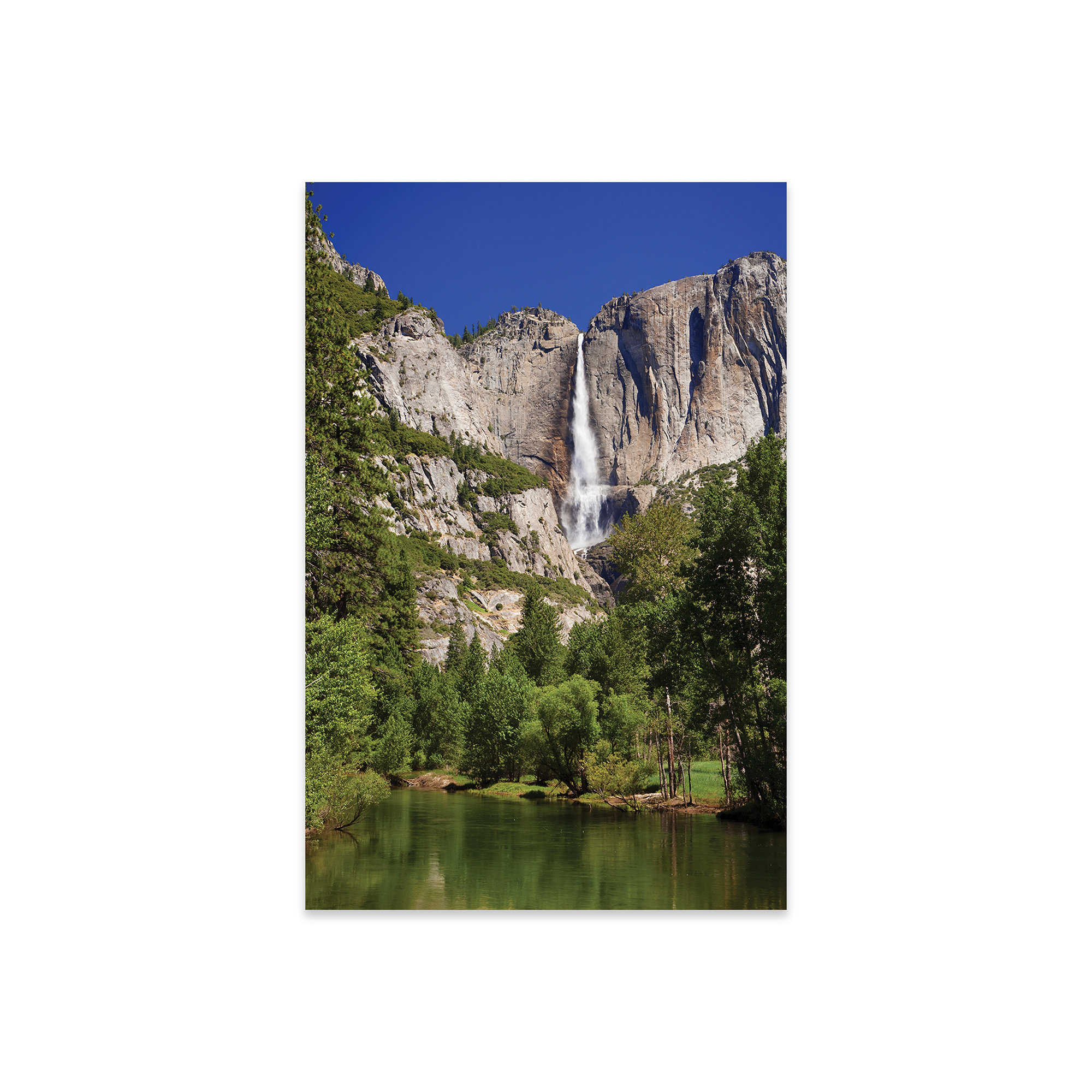 Millwood Pines Arli Usa, California, Yosemite National Park. Yosemite ...