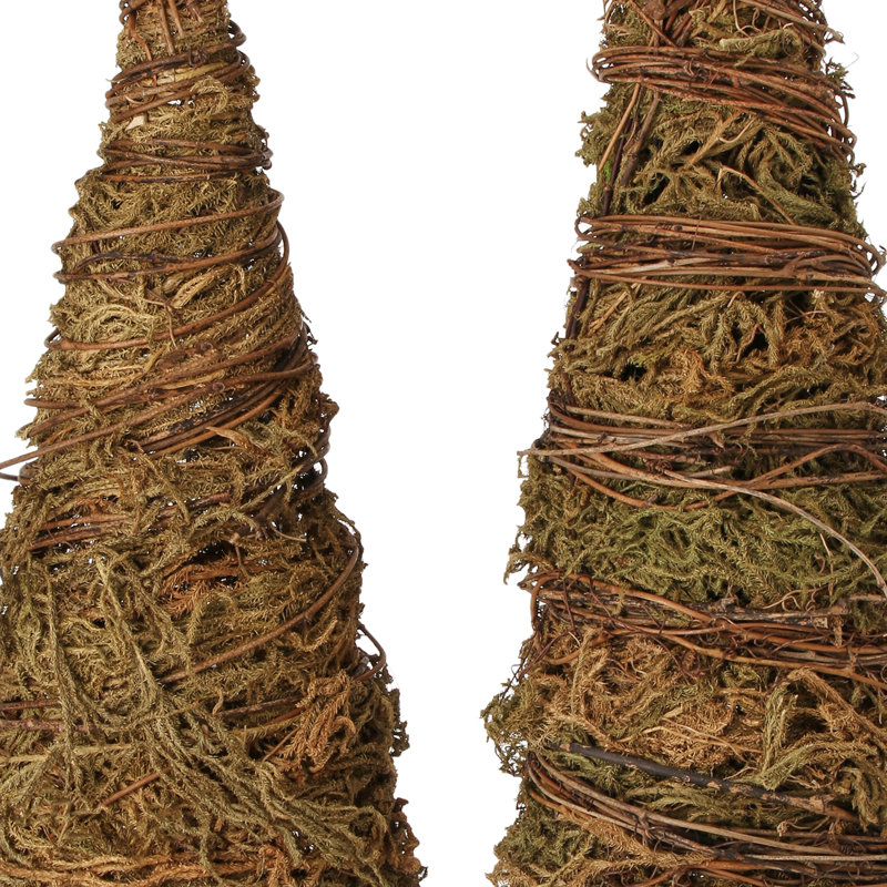 Union Rustic 18-24" Vine/Moss/Twig Cone Tree | Wayfair