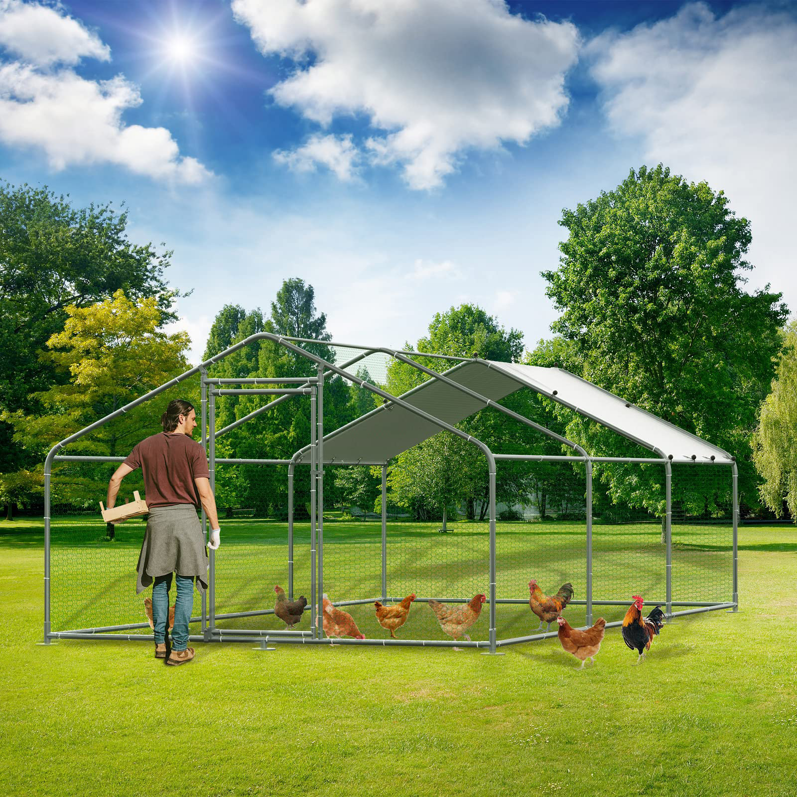 Tucker Murphy Pet™ Chiriac Chicken Run & Reviews | Wayfair