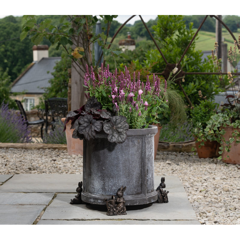Jardinopia Beatrix Potter Peter Rabbit Bronze Coloured Planter Feet In ...