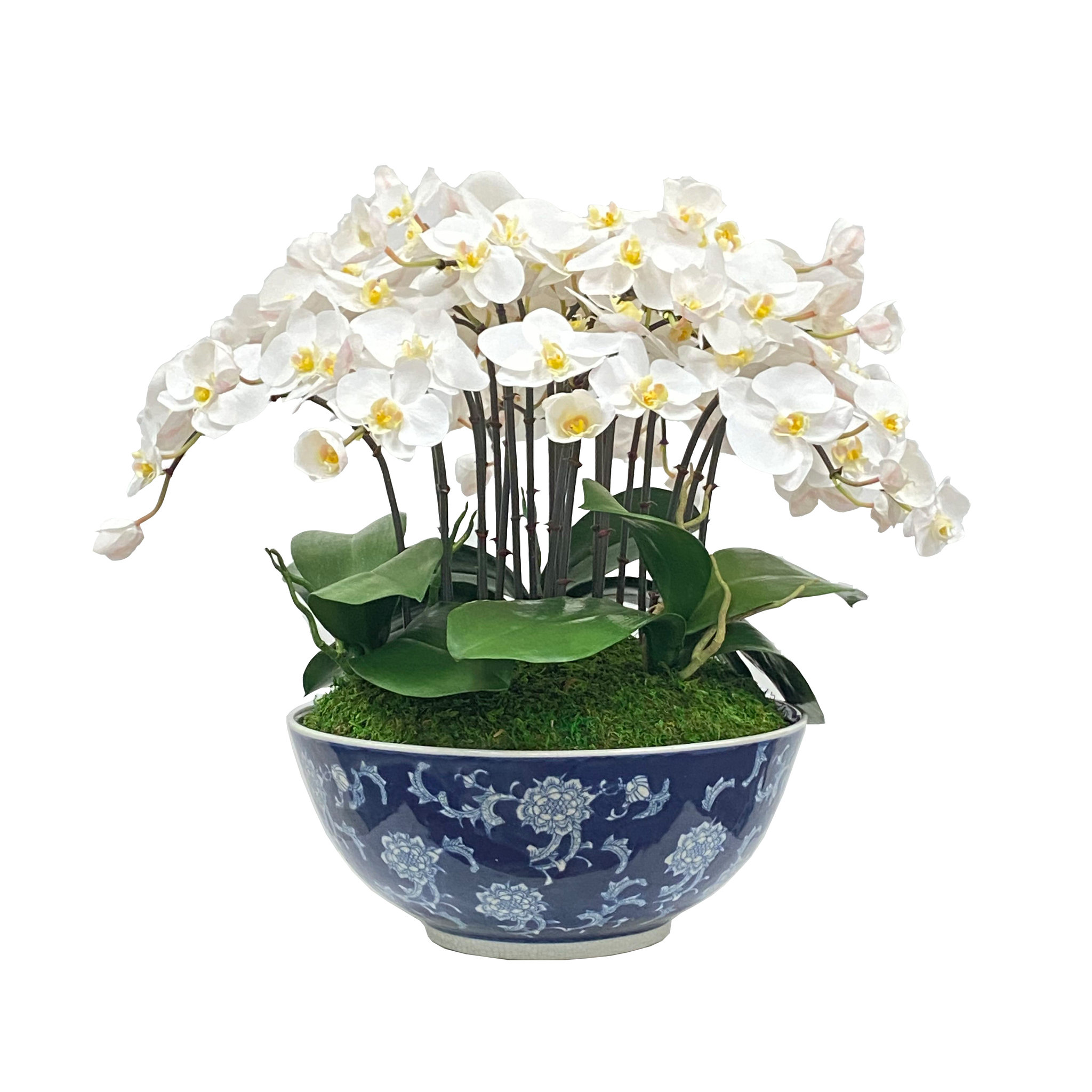 Winward Home VANDA AND ROSE IN GLASS | Perigold