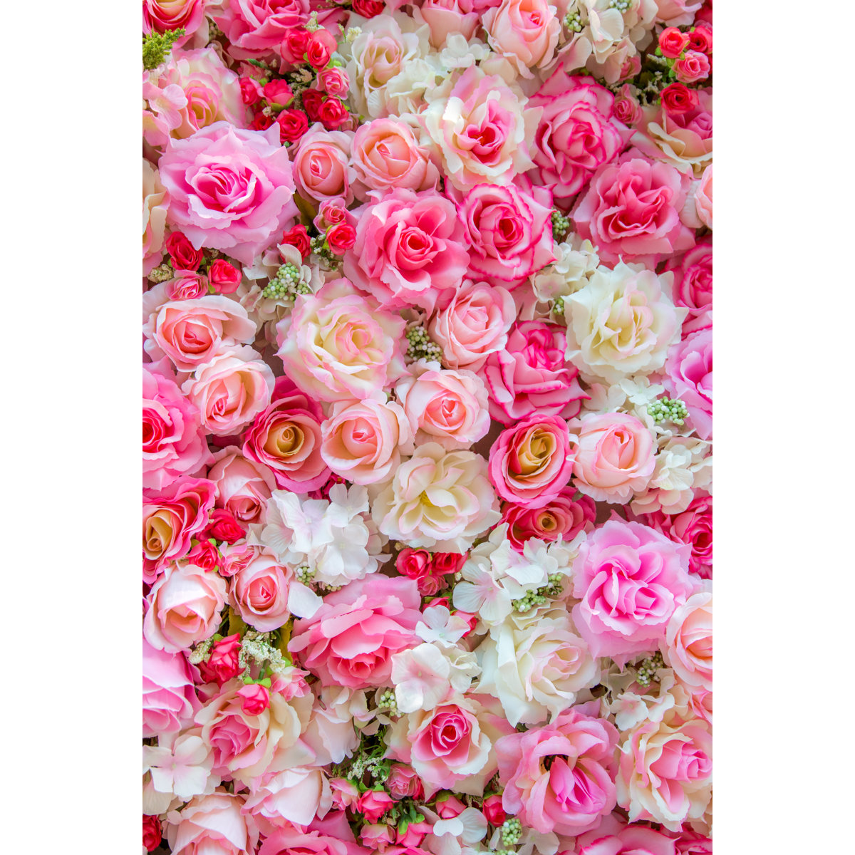 Ebern Designs Soft Color Roses Background - Wrapped Canvas Photograph ...