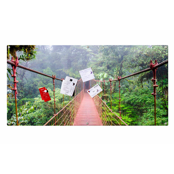 East Urban Home Magnetic Metal Photo Memo Board | Wayfair.co.uk