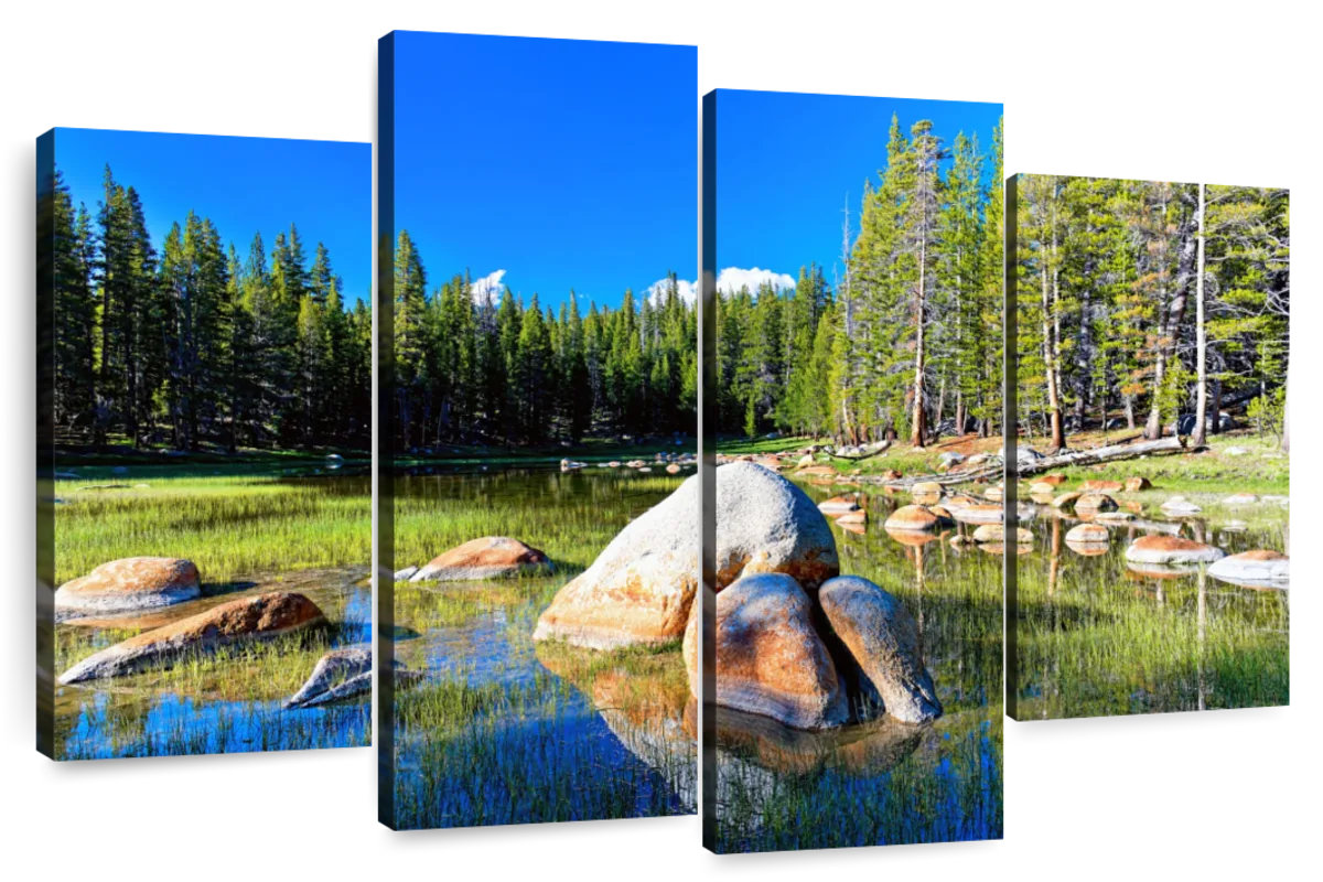 Millwood Pines Summer In Yosemite | Wayfair