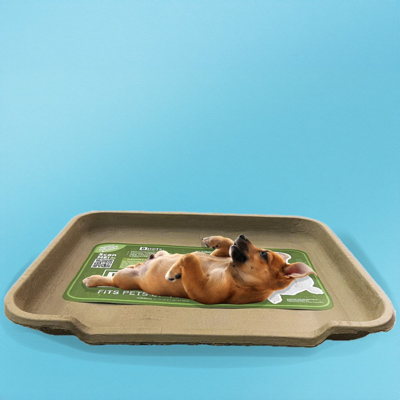 PetPro B-Snuggler,Cardboard Pet Bed | Wayfair