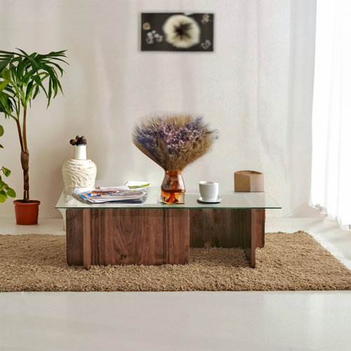 Latitude Run® Luton Frame Coffee Table with Storage | Wayfair